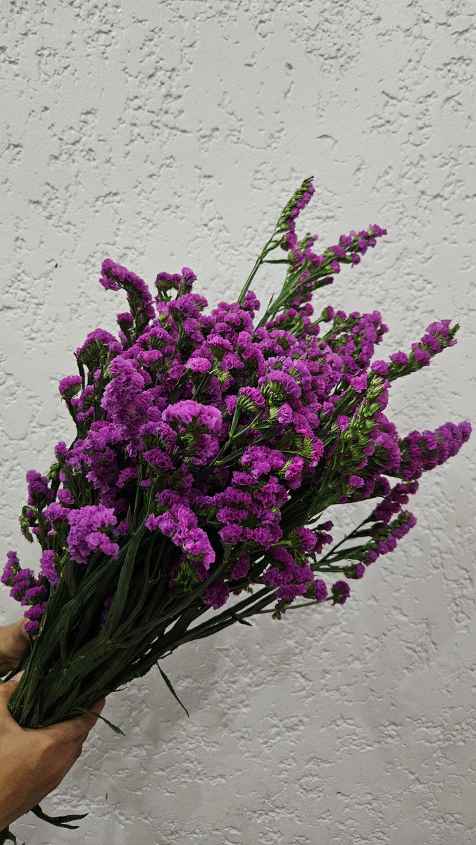 Statice Flowers - Violet – Home + Aspects